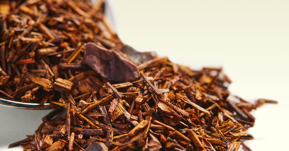 Choco Mint Truffle Tea | TWG Tea