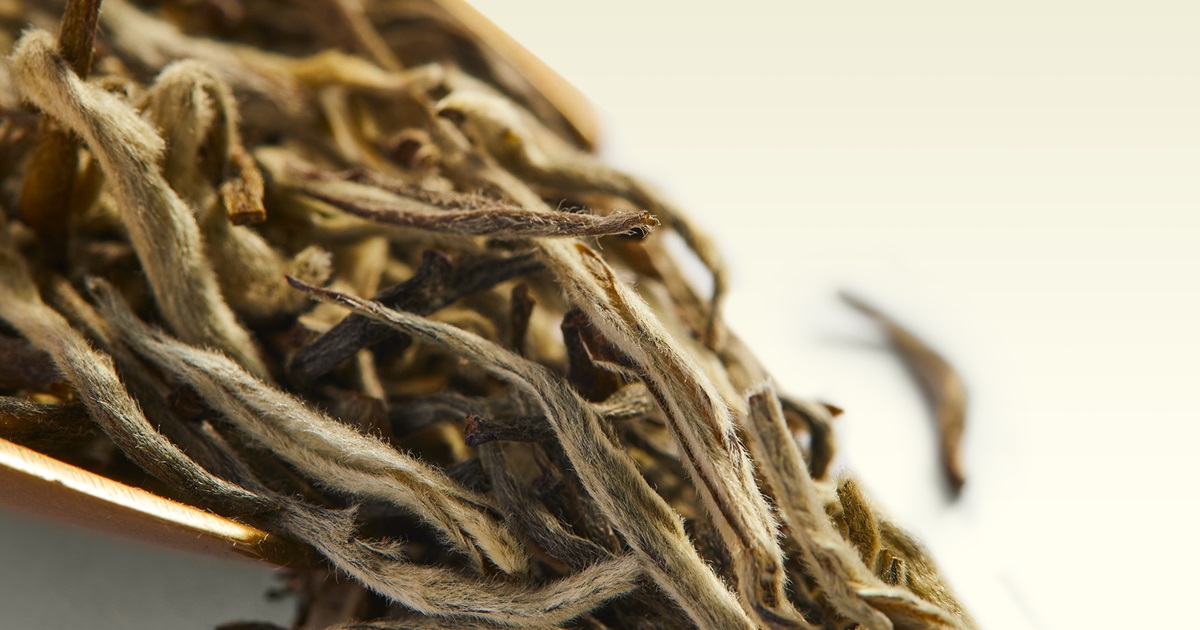 White Darjeeling | TWG Tea