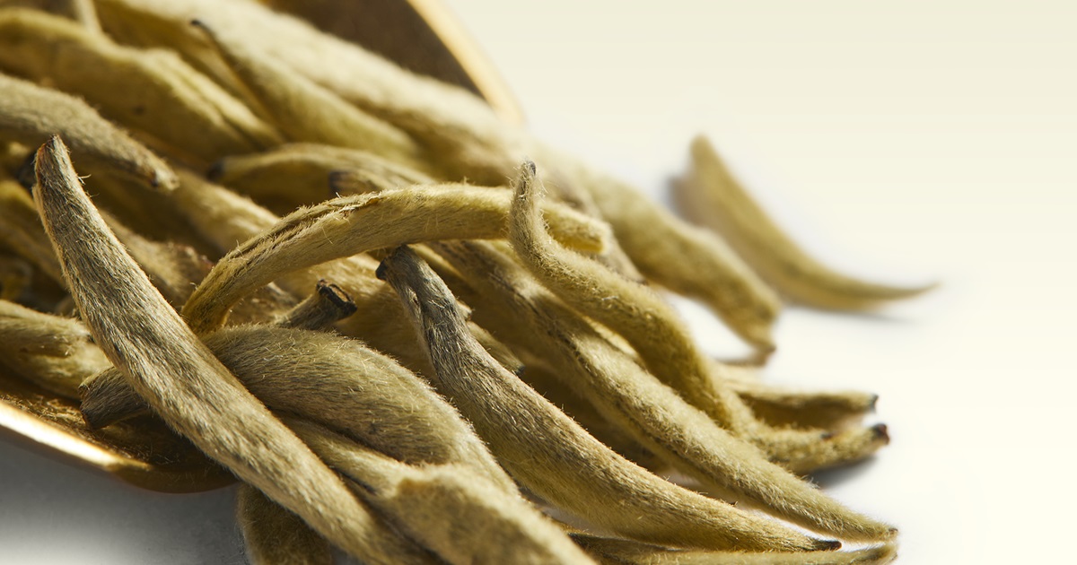 White Earl Grey | TWG Tea