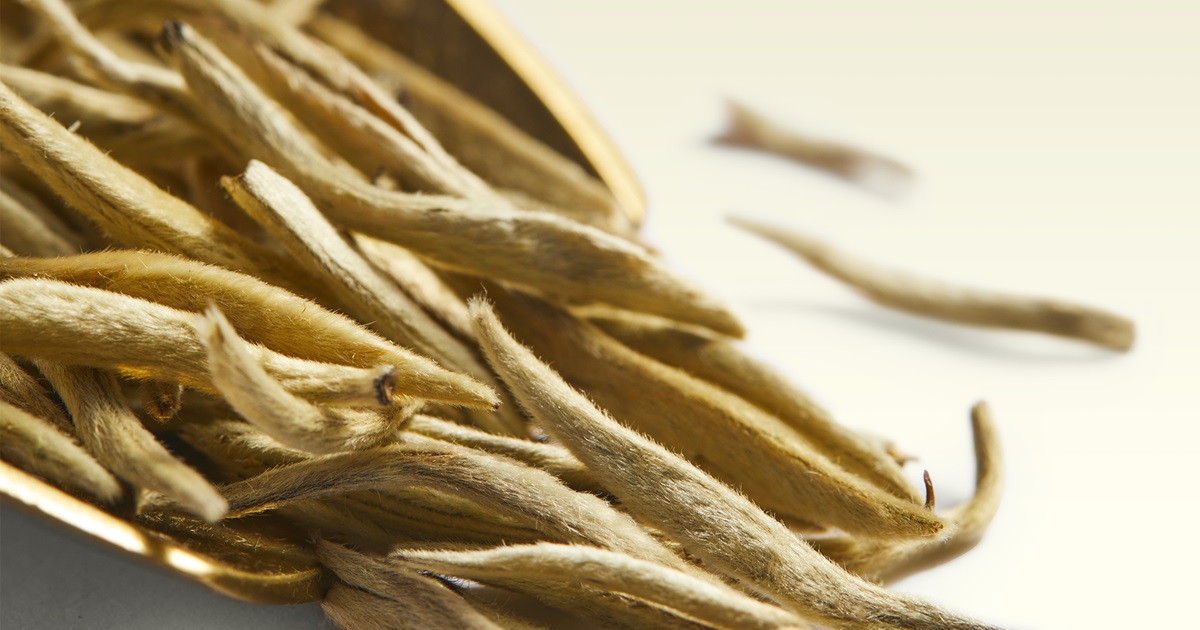 White Night Jasmine Tea | TWG Tea