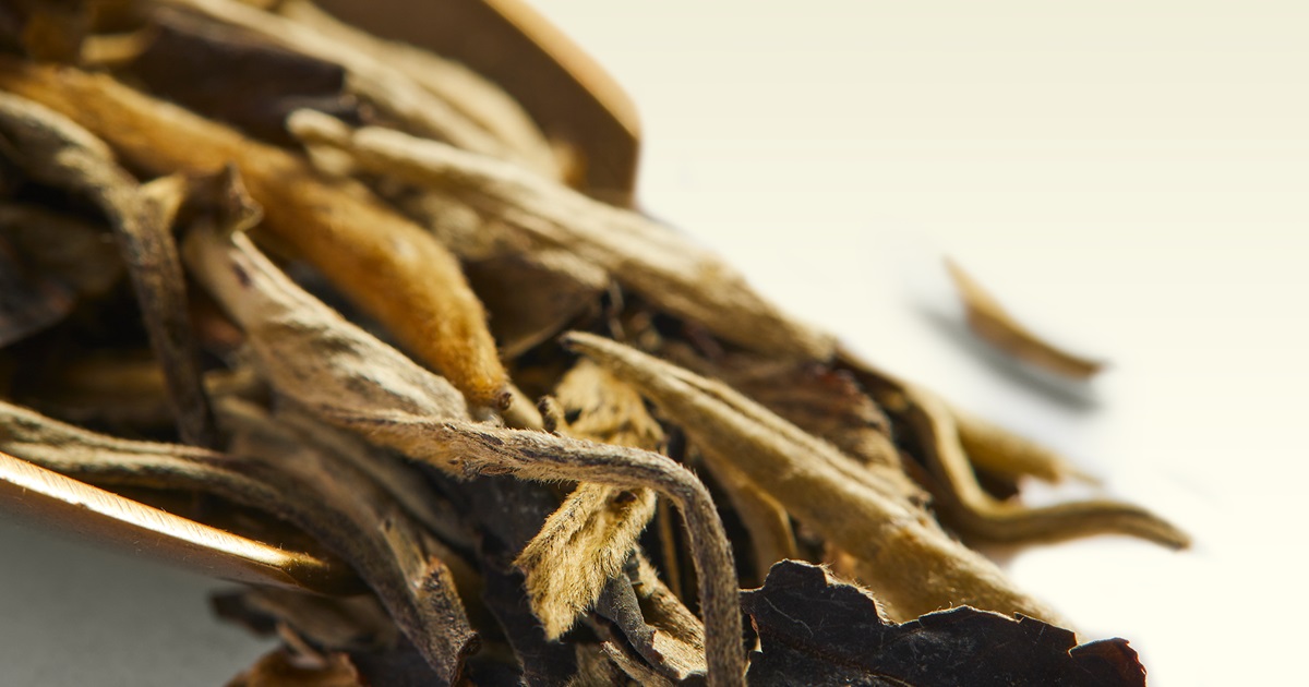 Snow Needles | TWG Tea