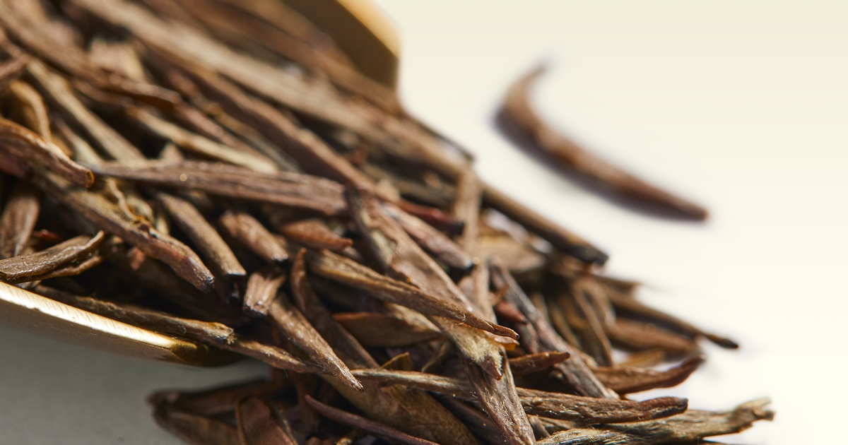 Yellow Gold Tea Buds | TWG Tea