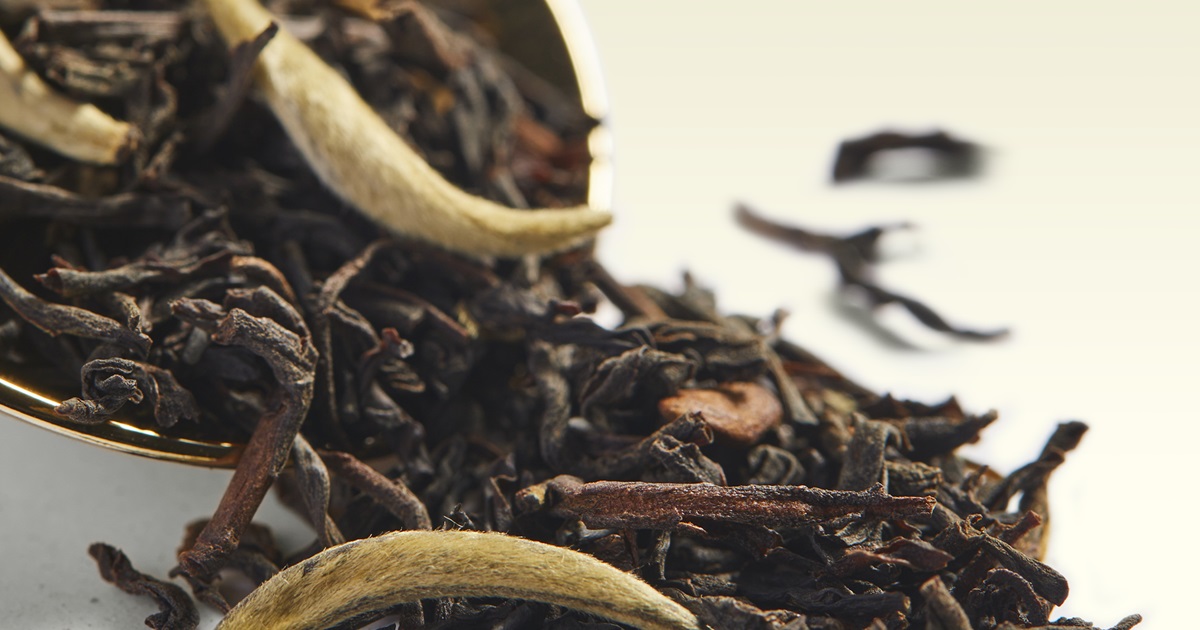 Ceylon Leopard Tea | TWG Tea