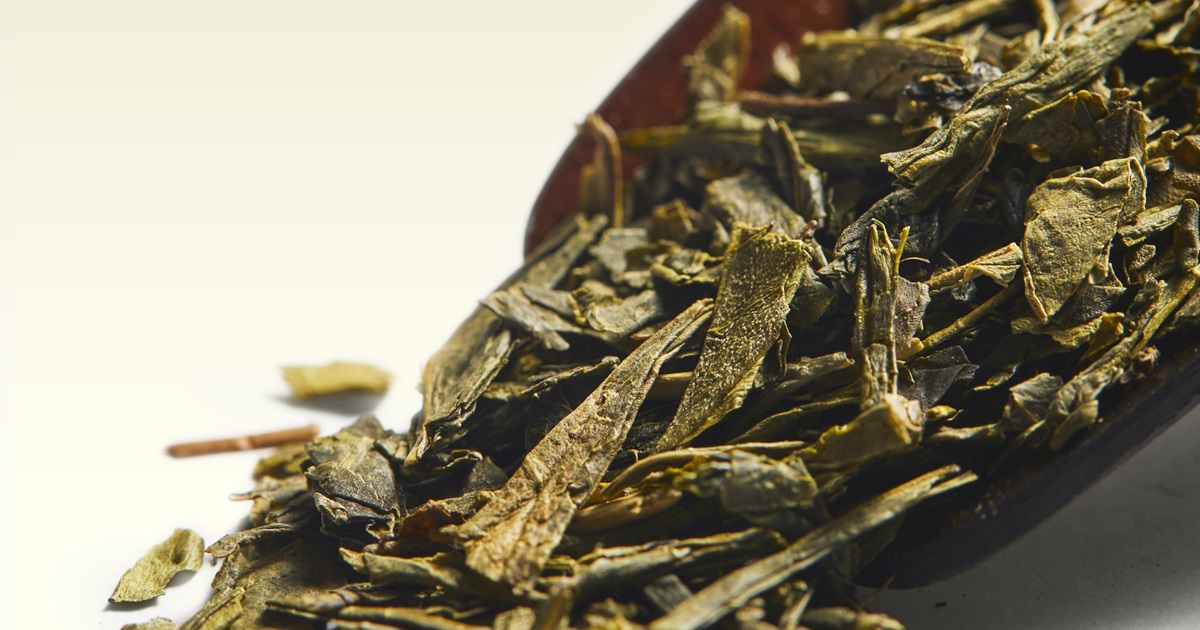 Sencha (China) | TWG Tea