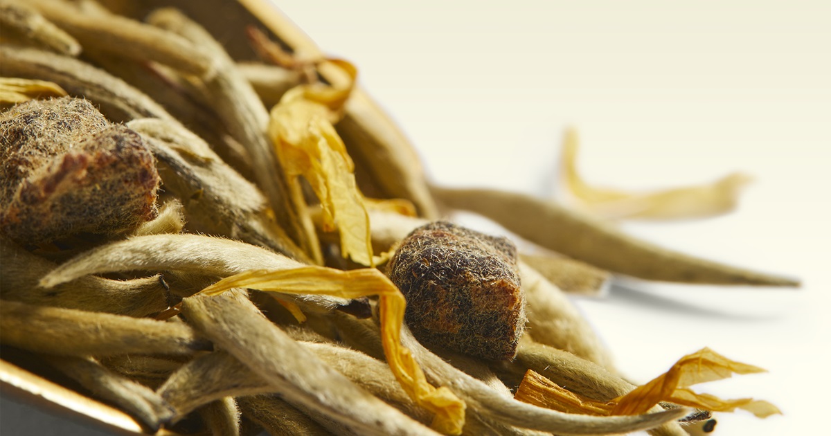 White Secret Tea | TWG Tea