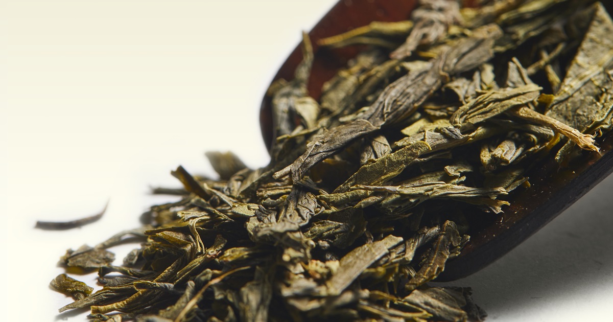 Sencha Superior | TWG Tea