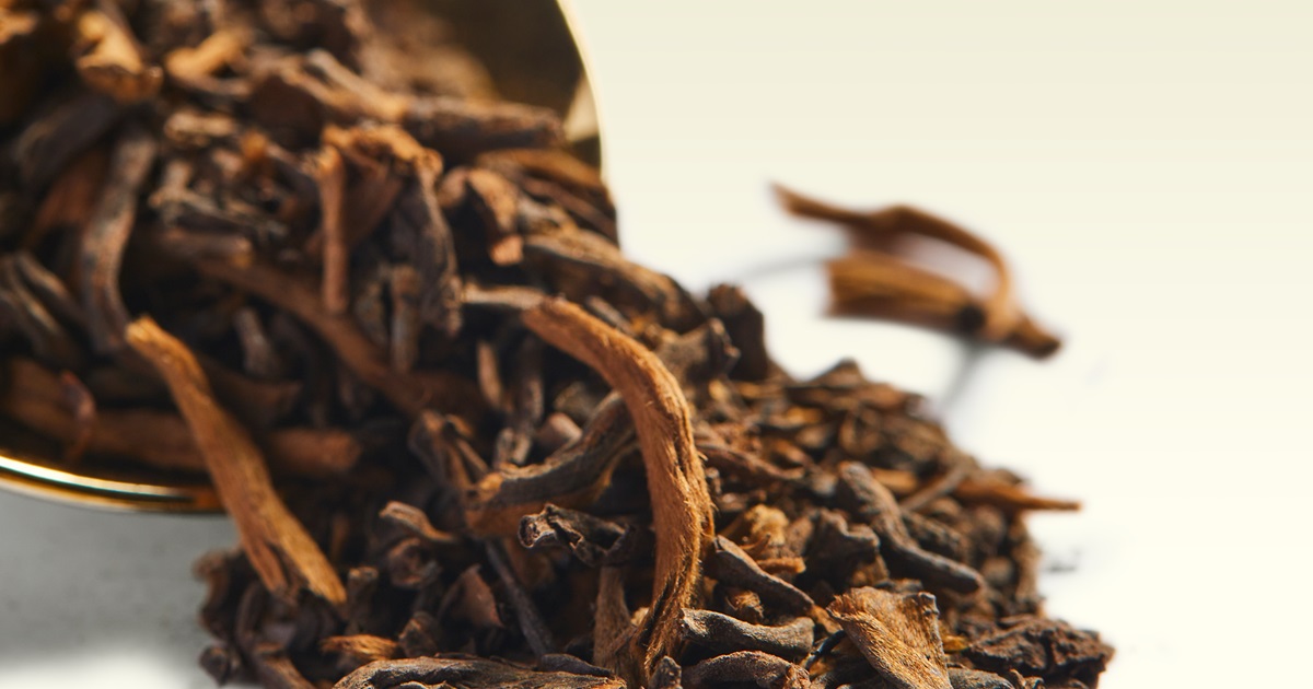 Golden Pu-Erh | TWG Tea