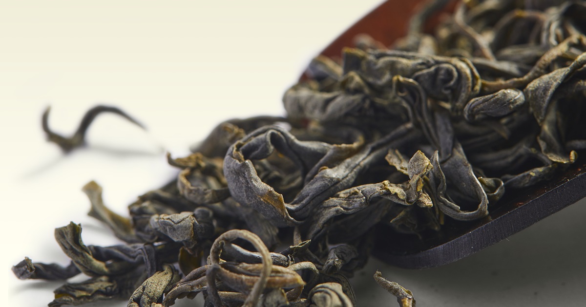 Lotus Jade Tea | TWG Tea