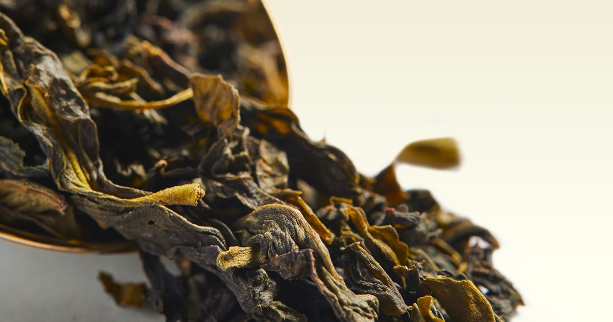 Wenshan Pouchong Imperial | TWG Tea