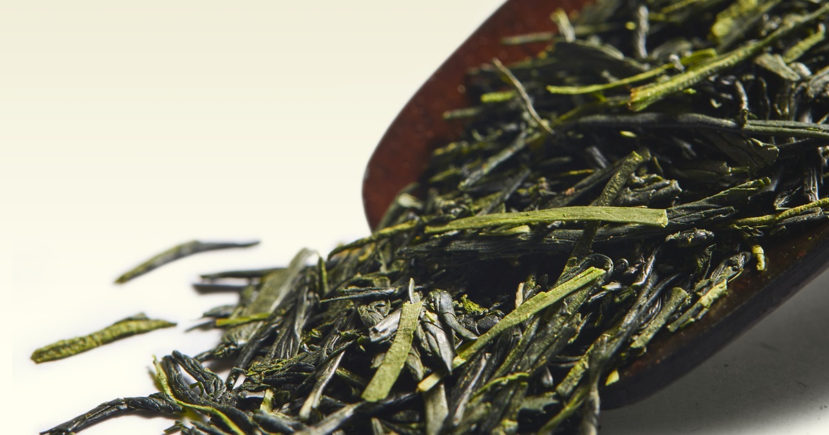 Gyokuro Samurai | TWG Tea