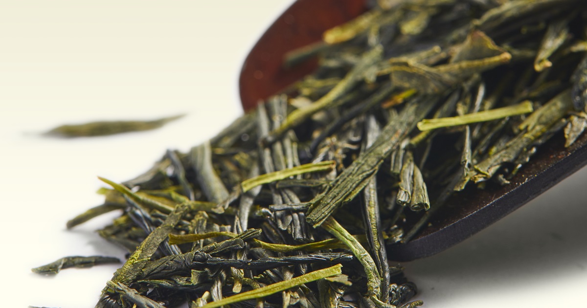 Sencha Meicha | TWG Tea