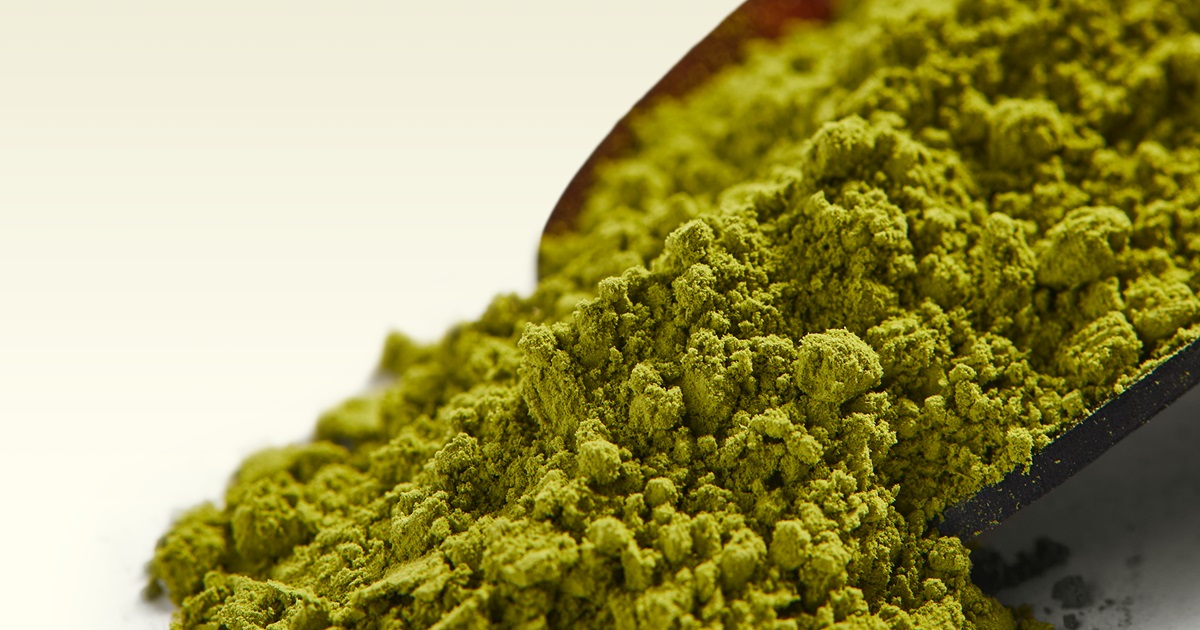 Matcha | TWG Tea