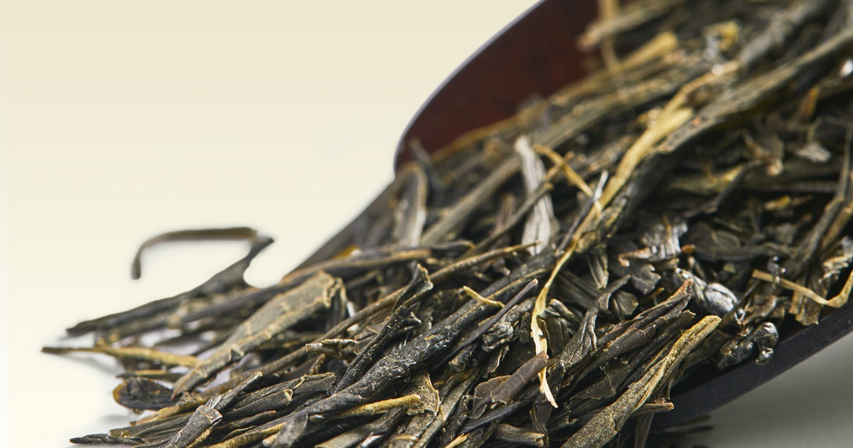 Sencha Prestige | TWG Tea