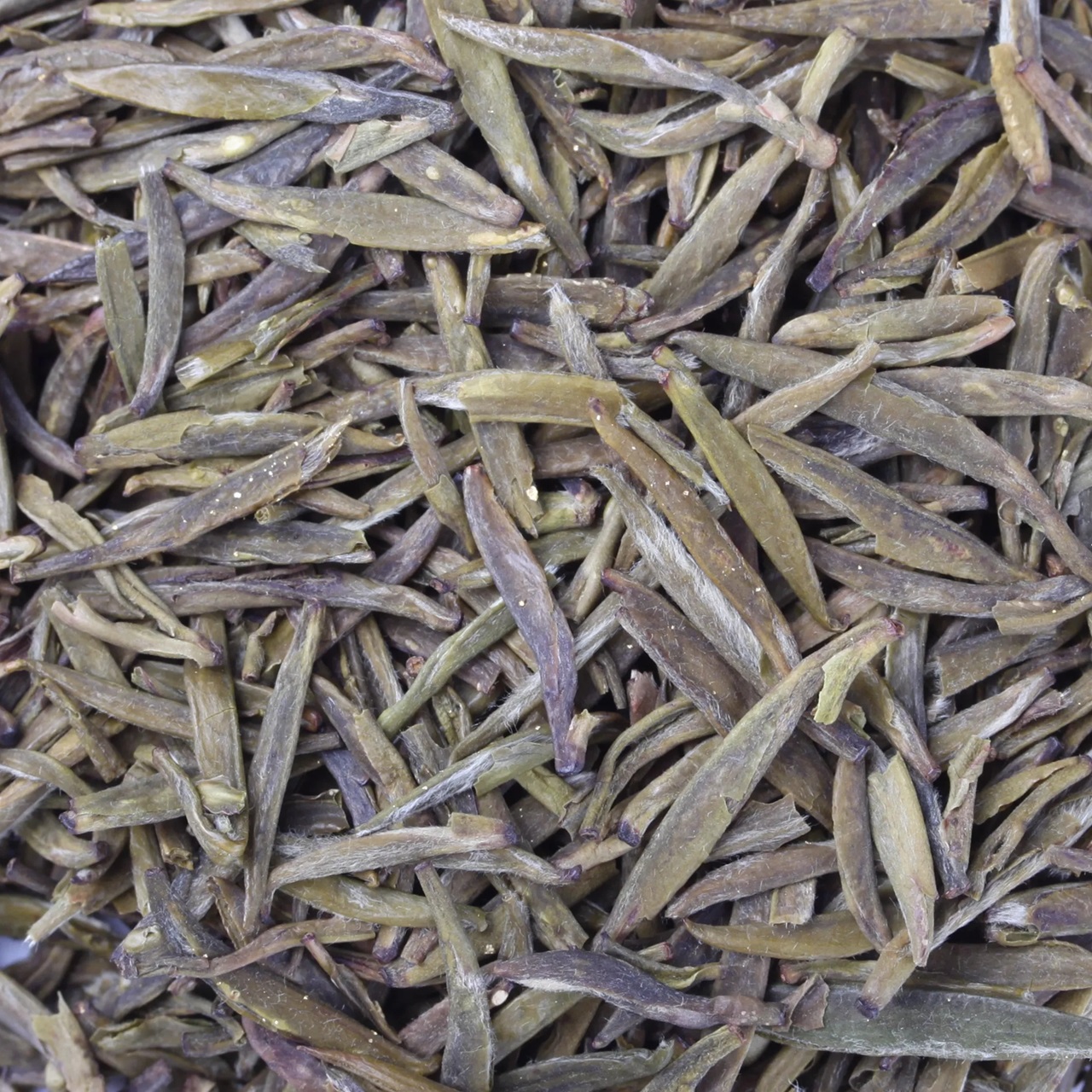 Yellow Gold Tea Buds | TWG Tea