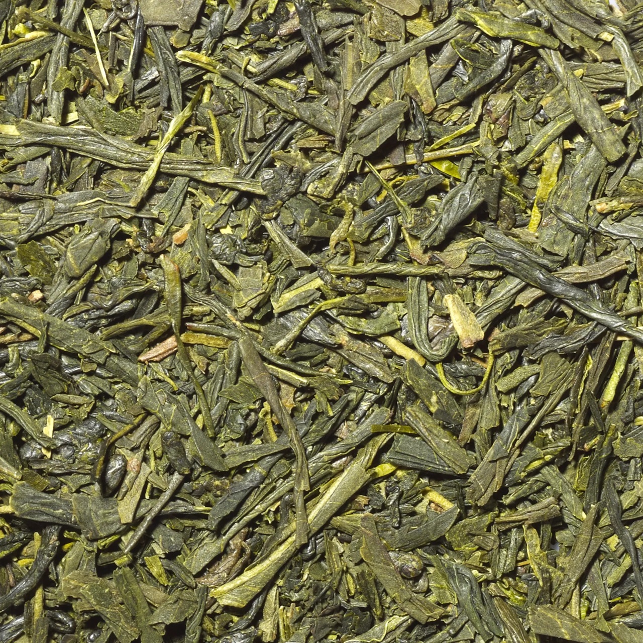 Sencha (Japan) | TWG Tea