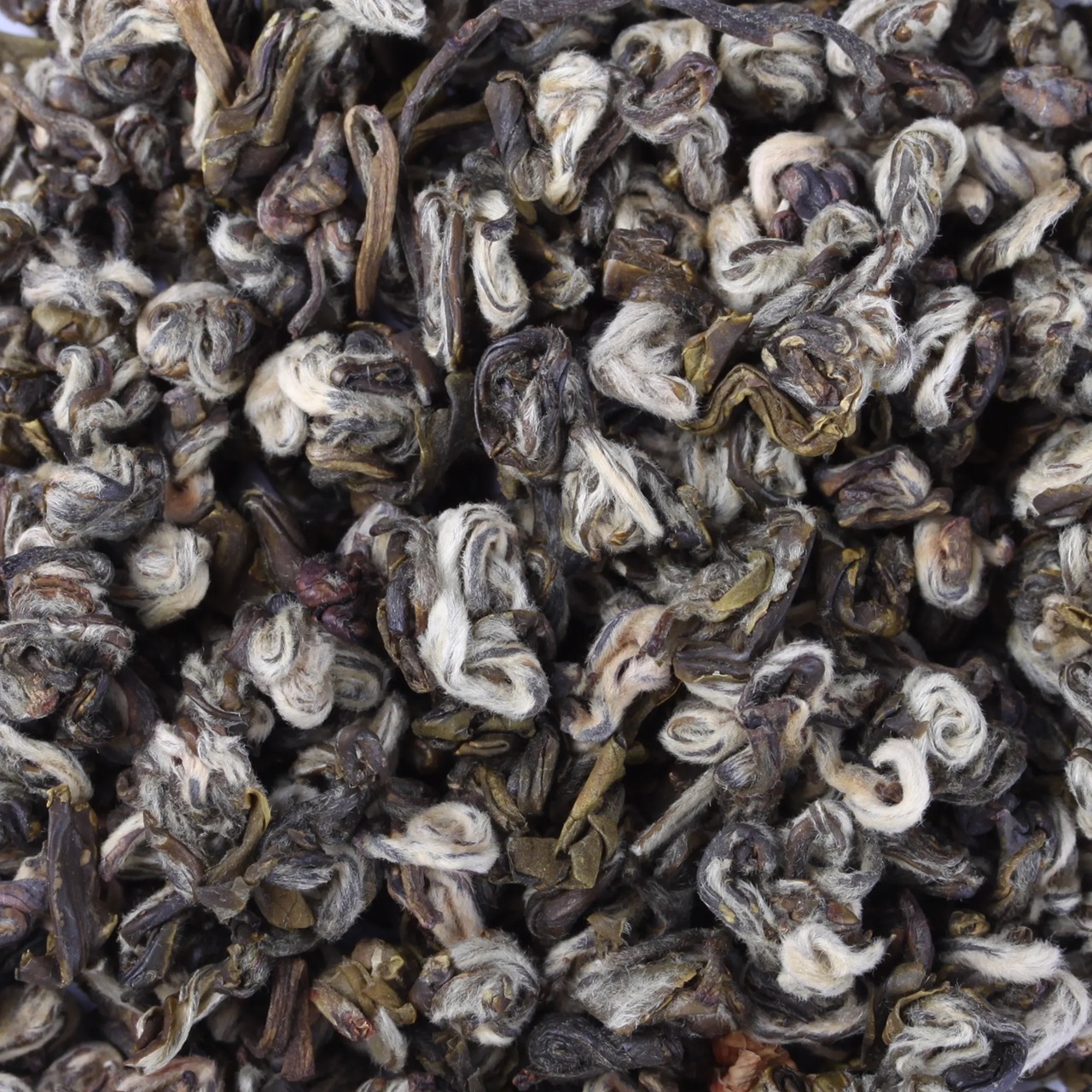 Jasmine Night Tea | TWG Tea