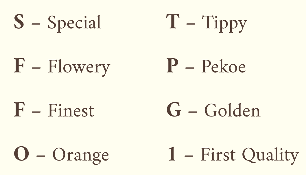 Number 1 Tea | TWG Tea